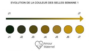 Allaitement du nouveau-né : 1ère semaine [Guide avec visuels]